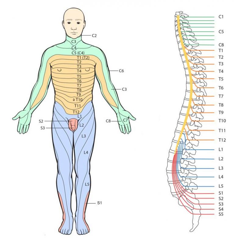 Nekhernia - My Medical Centre